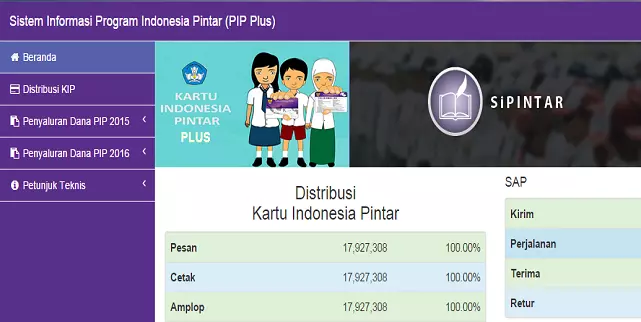 Apa itu PIP Plus? Apakah PIP Plus Berbeda dengan PIP Biasa? - mzringgo.com